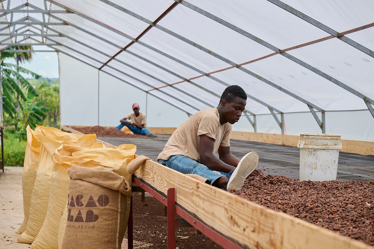 Our Cacao – CACAOLAB