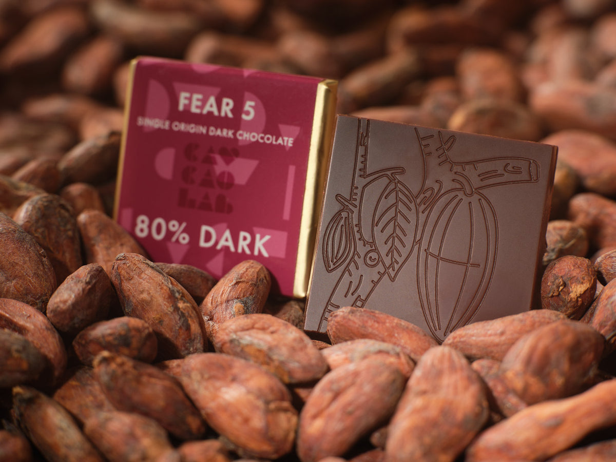 Colombia FEAR 5 80% Dark Chocolate – CACAOLAB