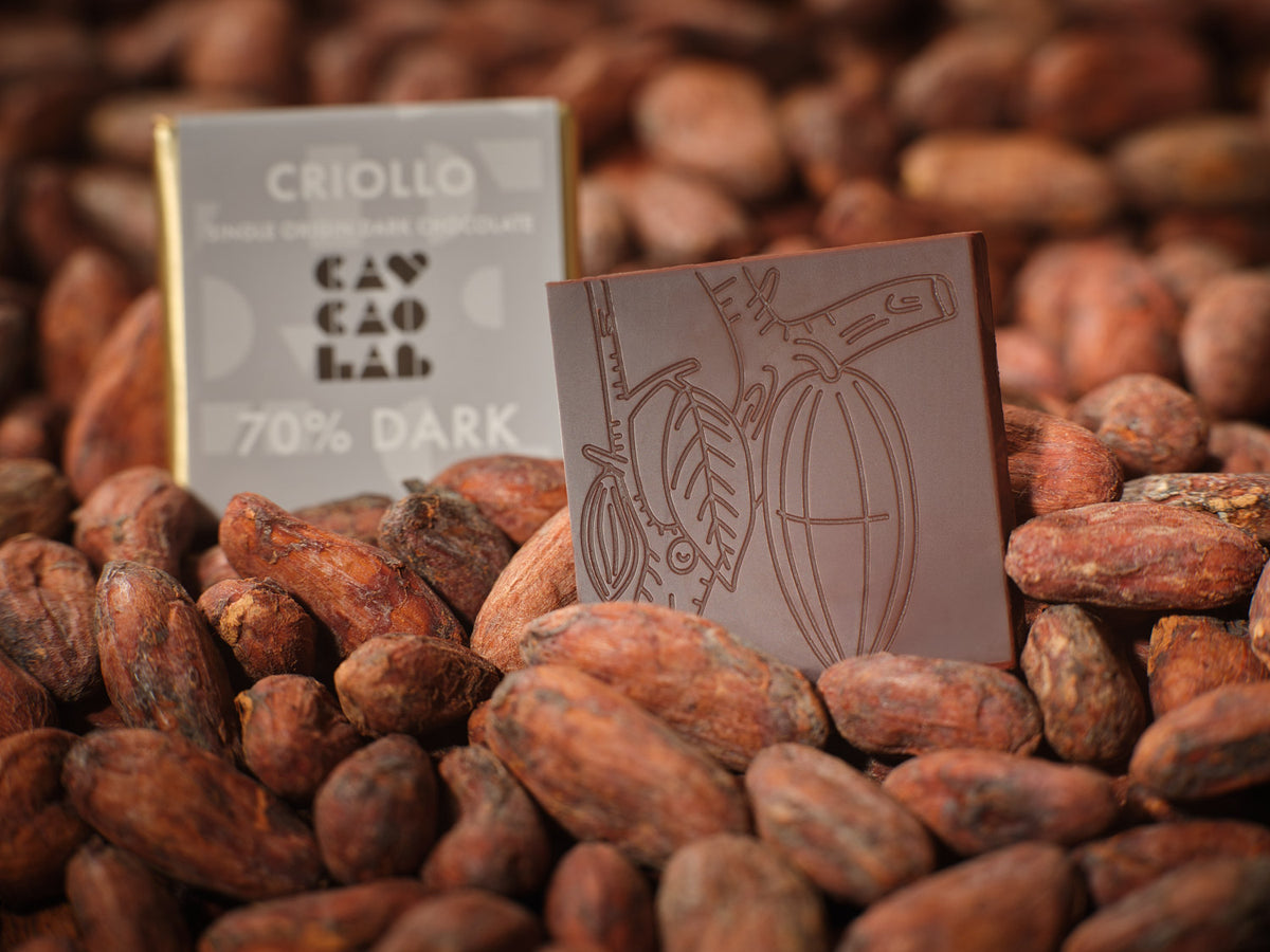 Criollo - Ecuador 70% Dark Chocolate – CACAOLAB