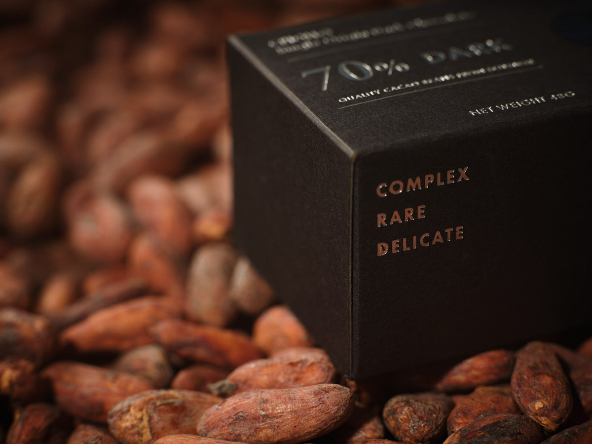 Criollo - Ecuador 70% Dark Chocolate – CACAOLAB